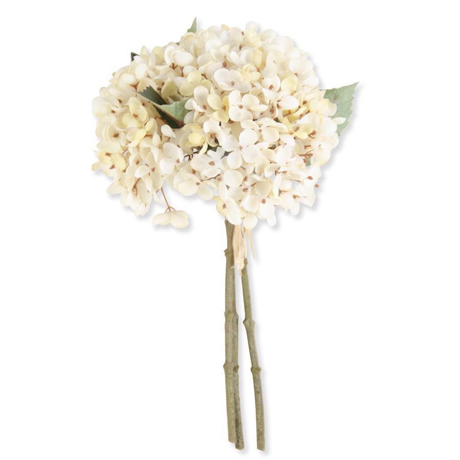 Cream Two Tone Hydrangea Bundle – Monarch Garden and Floral Design