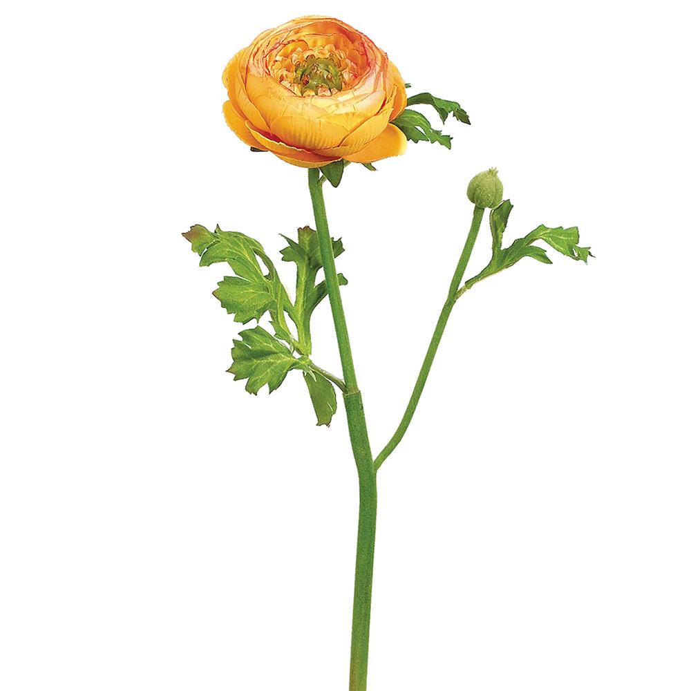 Ranunculus YE – Monarch Garden and Floral Design